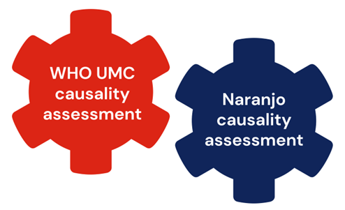 Understanding Causality Assessment in Pharmacovigilance | Soterius